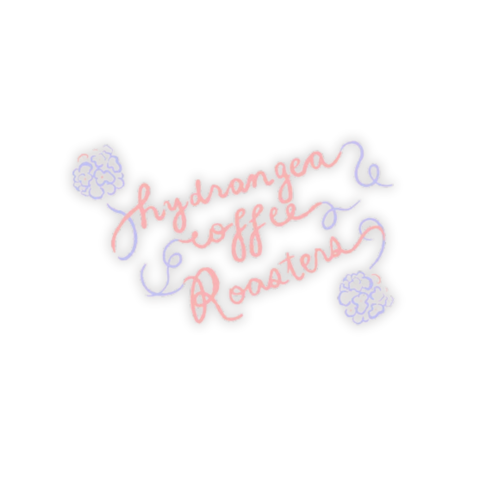 Hydrangea Coffee Roasters – 1 Taza al Día